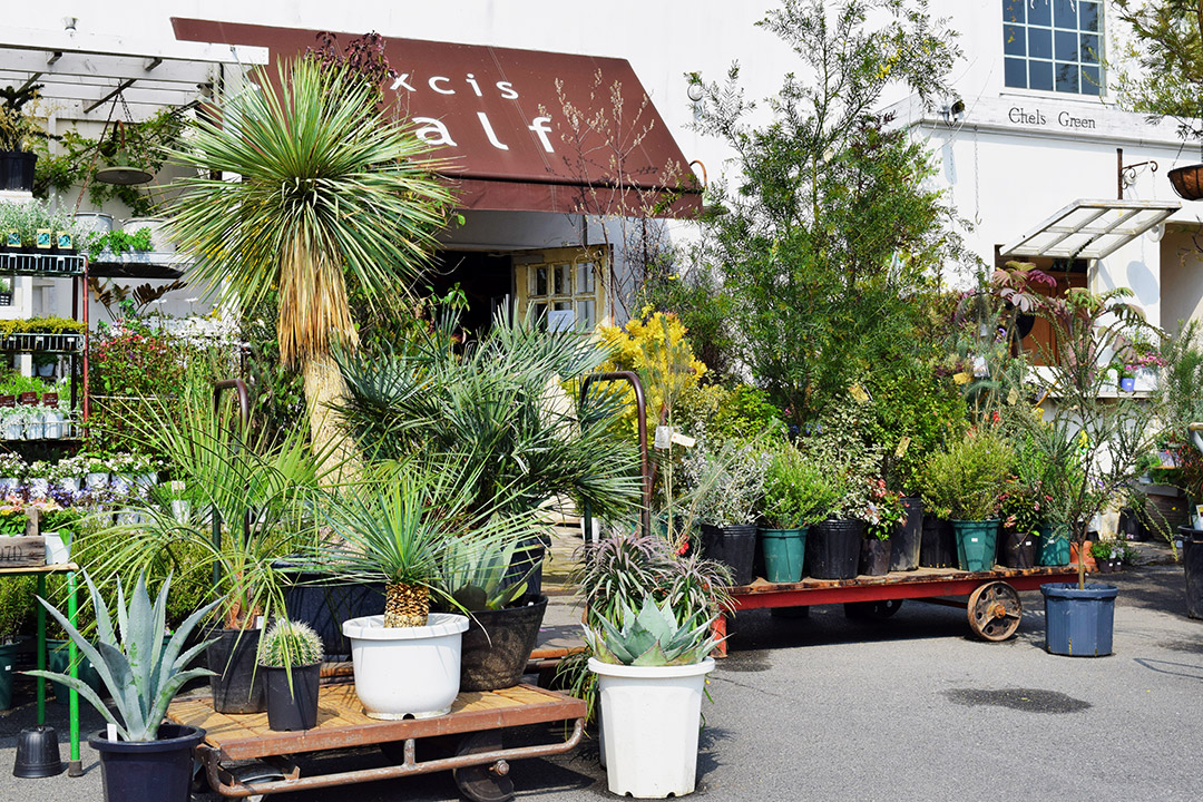 DSC_0455 | AXCIS,INC.