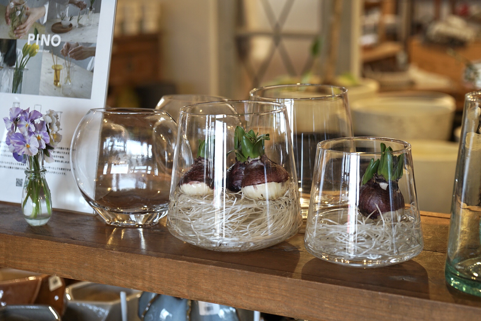 DSC00271 | AXCIS,INC.